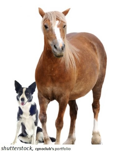 Tiere-Österreich-Profilbild-mit-signatur-e1475589604605 – hier-mehr-info
